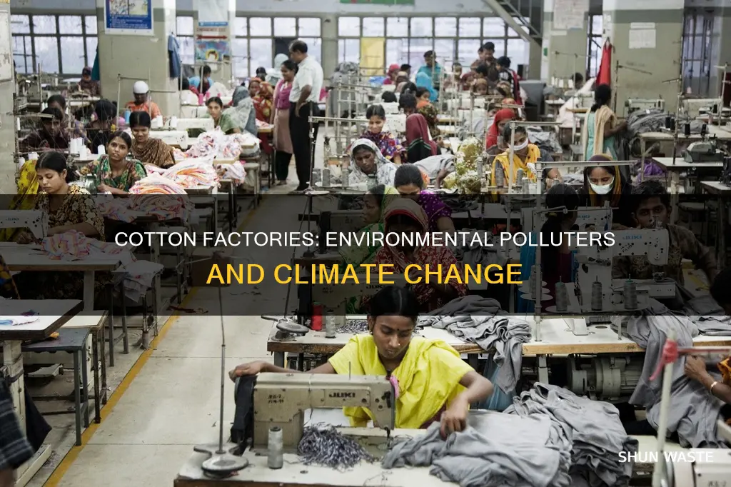 Cotton Factories: Environmental Polluters And Climate Change | ShunWaste