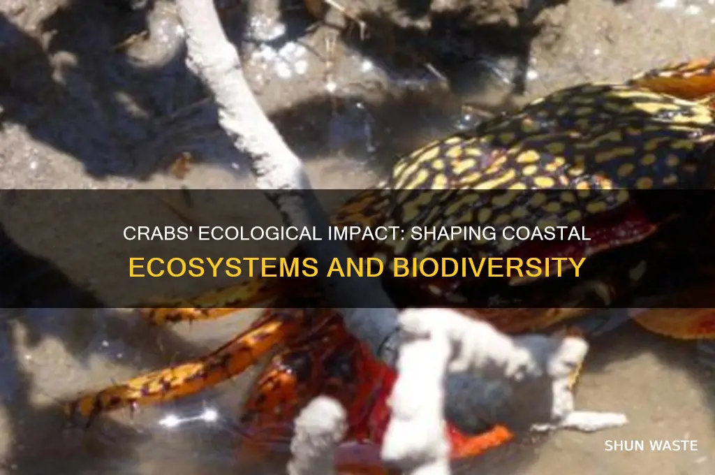 Crabs' Ecological Impact: Shaping Coastal Ecosystems And Biodiversity ...