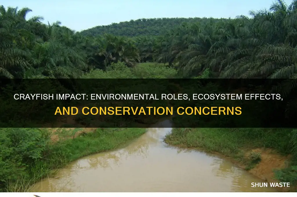 Crayfish Impact: Environmental Roles, Ecosystem Effects, And ...