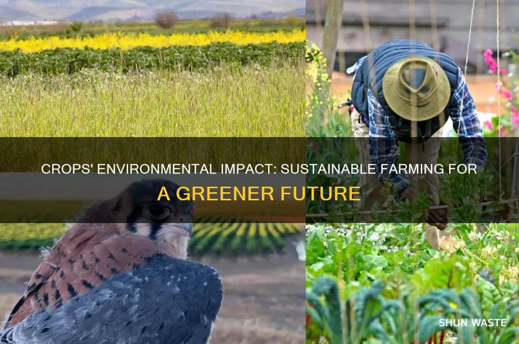 Crops' Environmental Impact: Sustainable Farming For A Greener Future ...