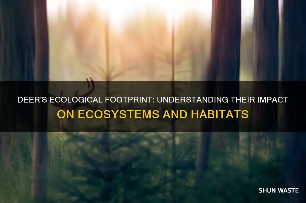 Deer's Ecological Footprint: Understanding Their Impact On Ecosystems ...