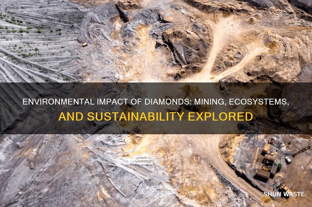 Environmental Impact Of Diamonds: Mining, Ecosystems, And ...