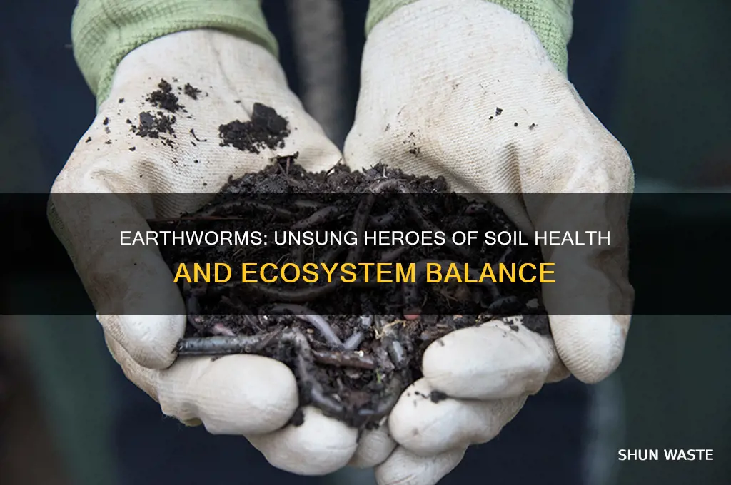 Earthworms: Unsung Heroes Of Soil Health And Ecosystem Balance | ShunWaste
