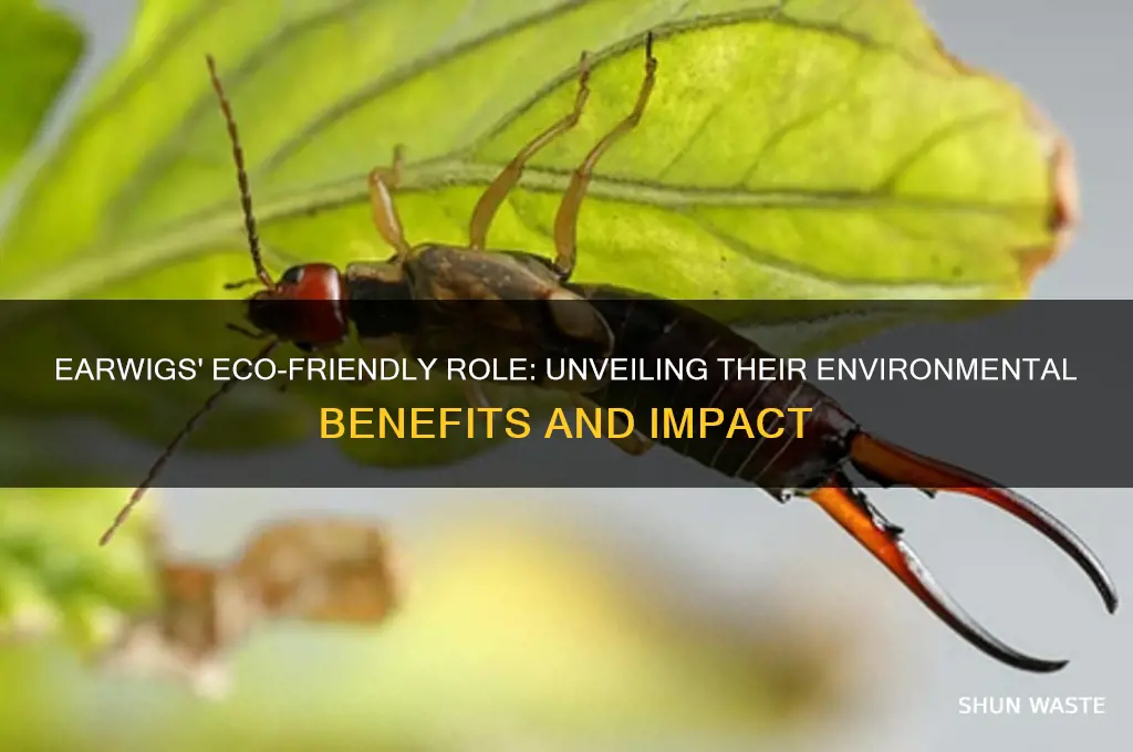 Earwigs' Eco-Friendly Role: Unveiling Their Environmental Benefits And ...