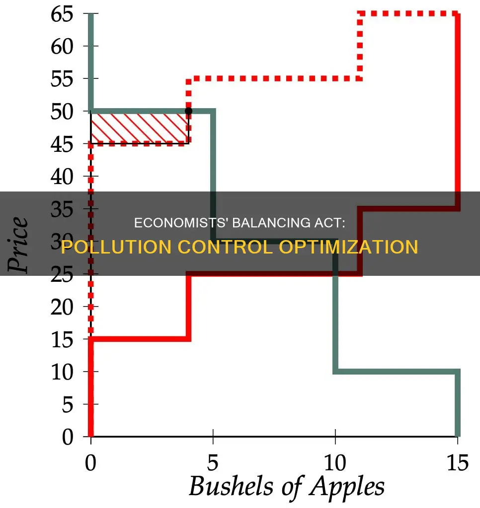 Economists' Balancing Act: Pollution Control Optimization | ShunWaste