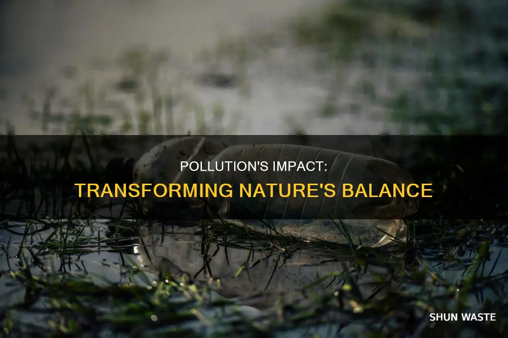 Pollution's Impact: Transforming Nature's Balance | ShunWaste
