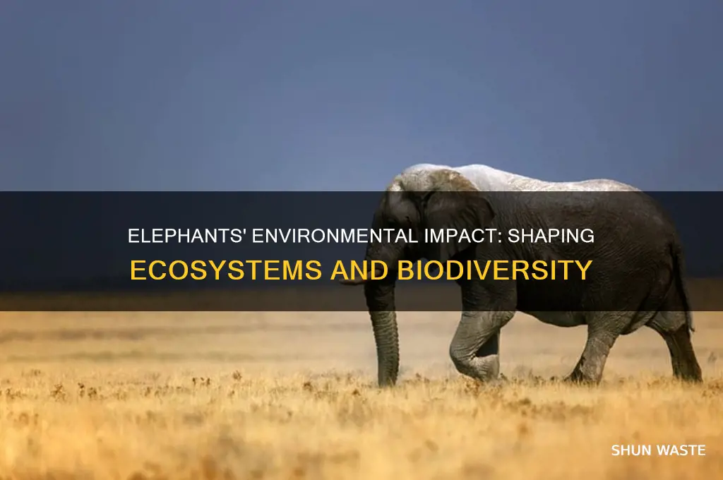 Elephants' Environmental Impact: Shaping Ecosystems And Biodiversity ...