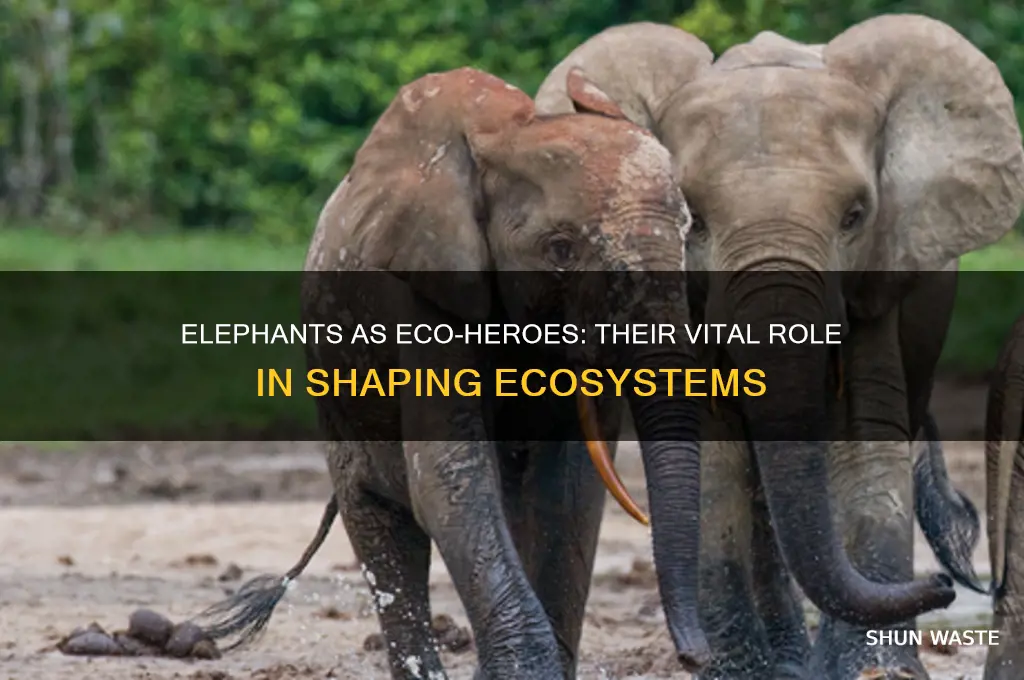 Elephants As Eco-Heroes: Their Vital Role In Shaping Ecosystems | ShunWaste