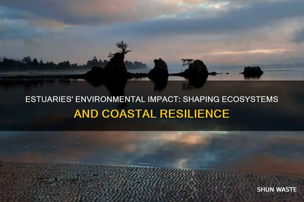 Estuaries' Environmental Impact: Shaping Ecosystems And Coastal ...