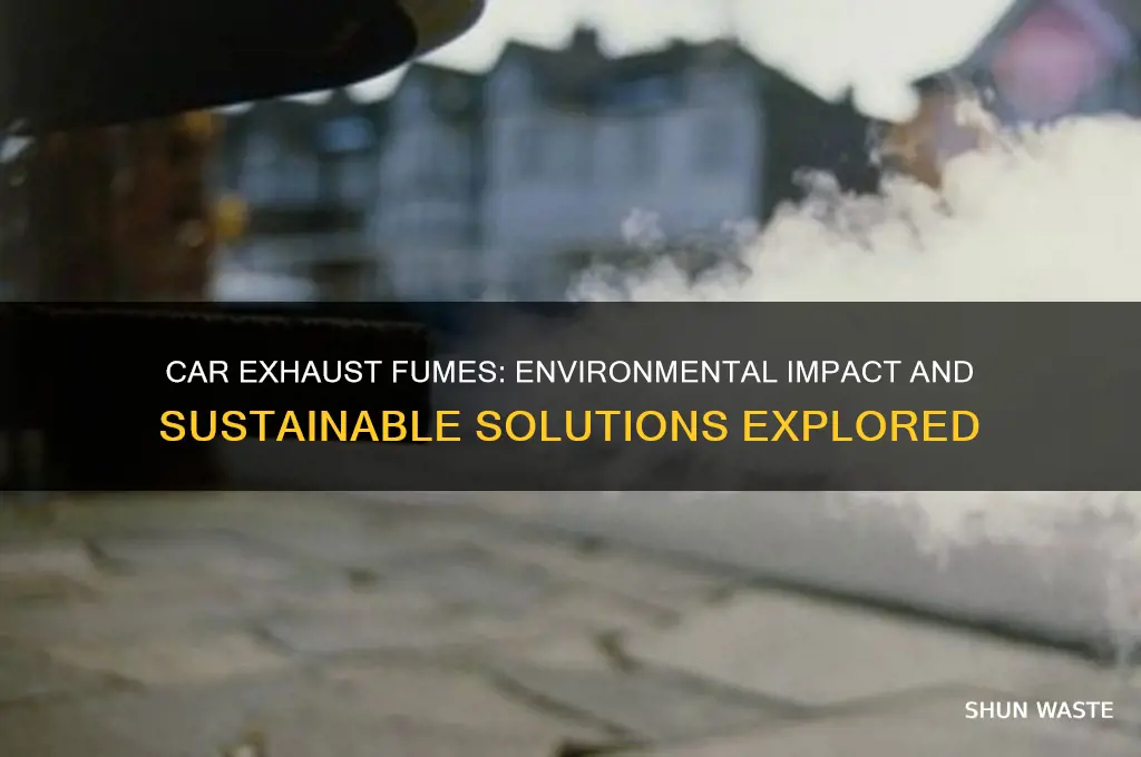 Car Exhaust Fumes: Environmental Impact And Sustainable Solutions ...
