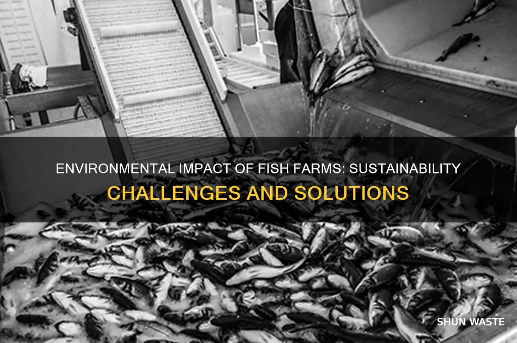 Environmental Impact Of Fish Farms: Sustainability Challenges And ...