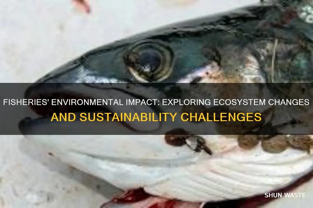 Fisheries' Environmental Impact: Exploring Ecosystem Changes And ...