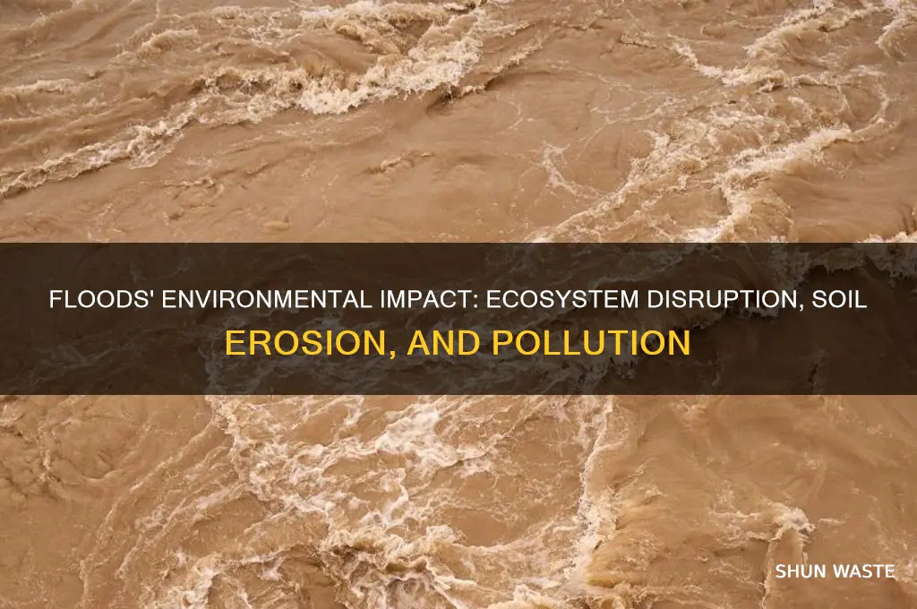 Floods' Environmental Impact: Ecosystem Disruption, Soil Erosion, And ...