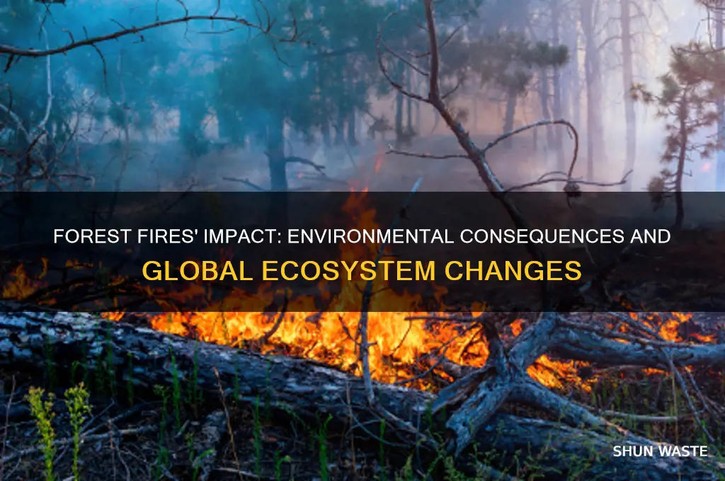 Forest Fires' Impact: Environmental Consequences And Global Ecosystem ...