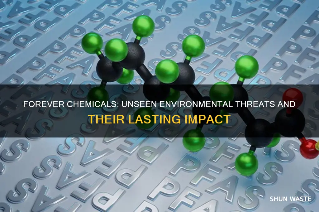 Forever Chemicals: Unseen Environmental Threats And Their Lasting ...