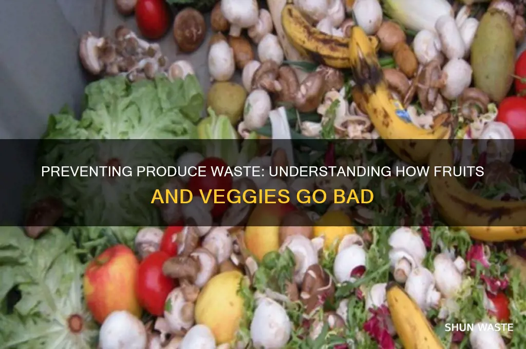 Preventing Produce Waste: Understanding How Fruits And Veggies Go Bad ...