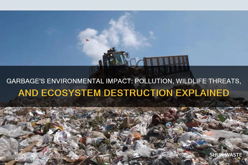 Garbage's Environmental Impact: Pollution, Wildlife Threats, And ...