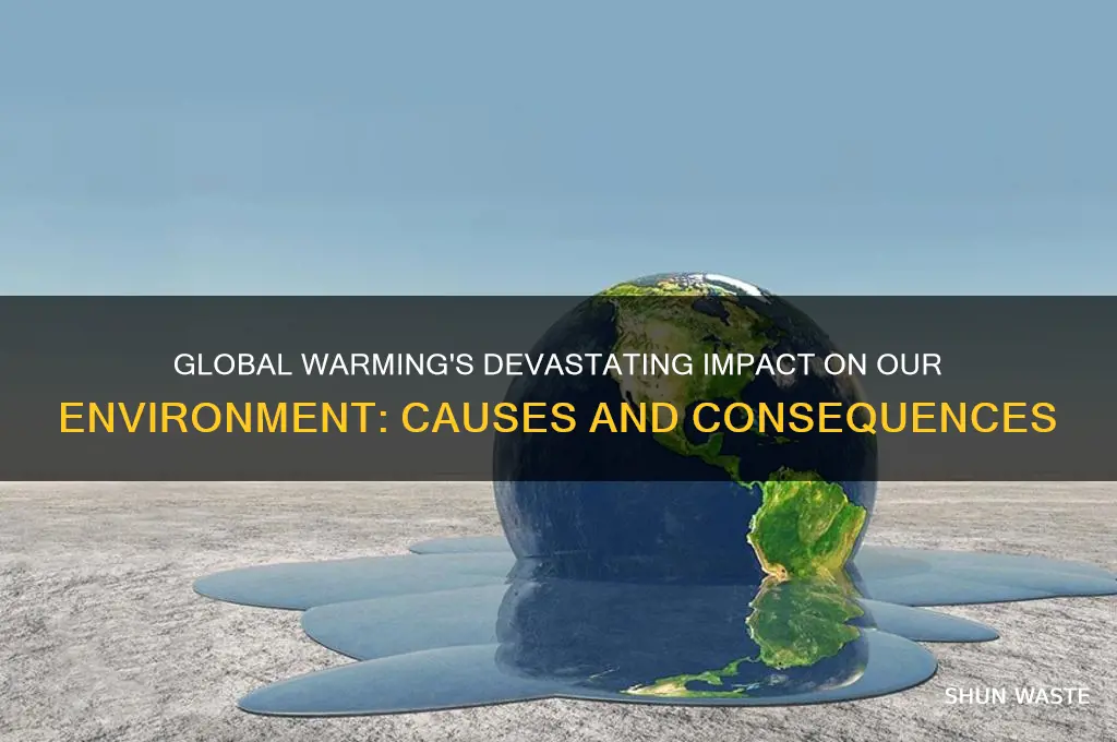 Global Warming's Devastating Impact On Our Environment: Causes And ...