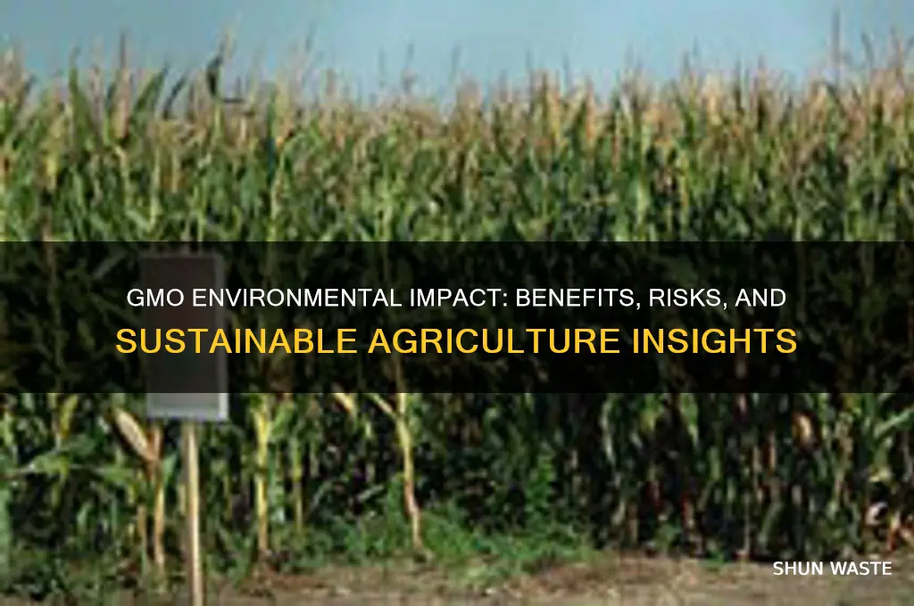 Gmo Environmental Impact: Benefits, Risks, And Sustainable Agriculture ...