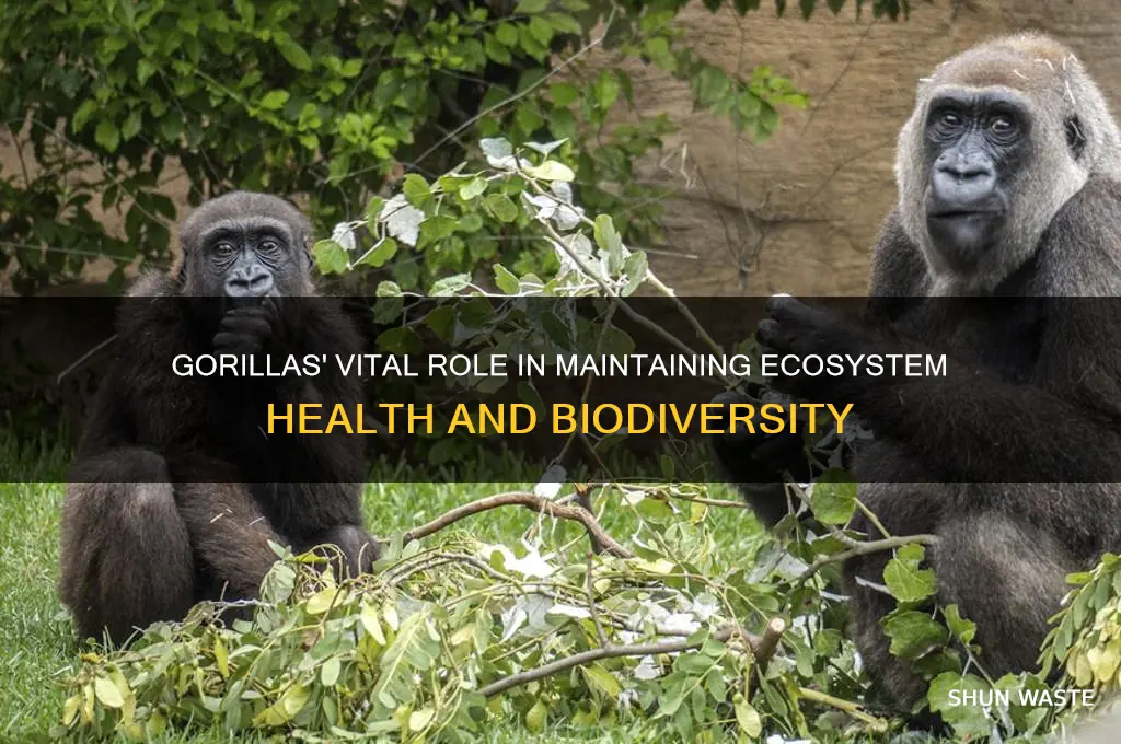 Gorillas' Vital Role In Maintaining Ecosystem Health And Biodiversity ...