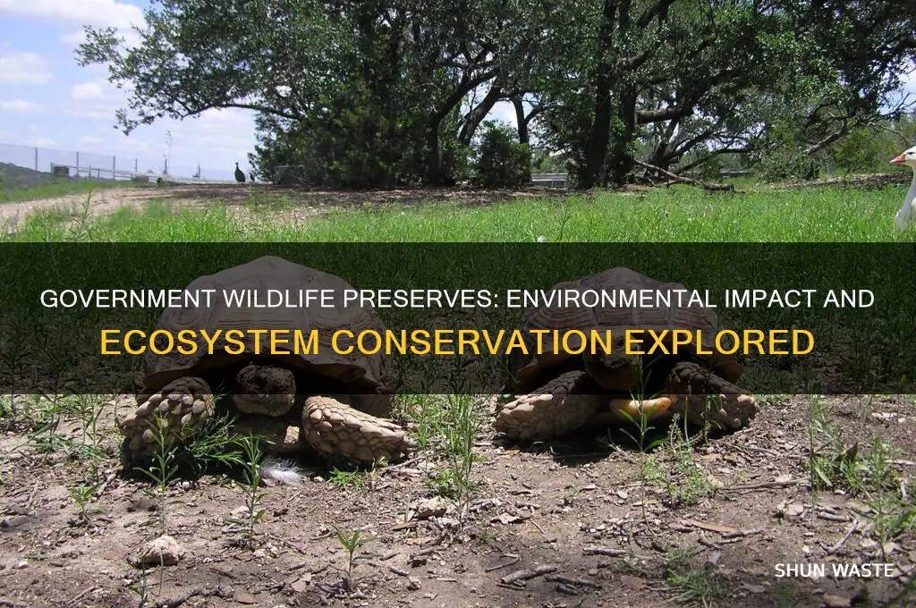 Government Wildlife Preserves: Environmental Impact And Ecosystem ...