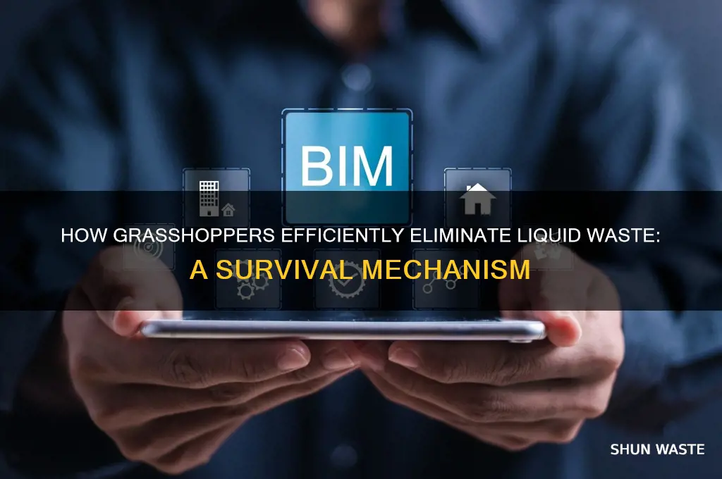 How Grasshoppers Efficiently Eliminate Liquid Waste: A Survival ...