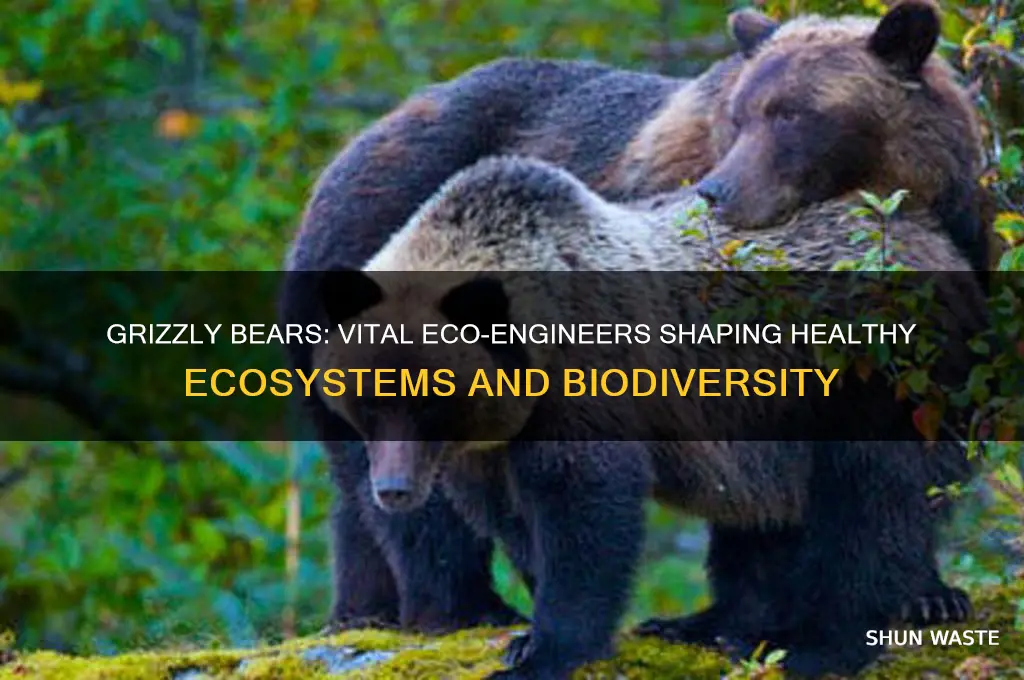 Grizzly Bears: Vital Eco-Engineers Shaping Healthy Ecosystems And ...