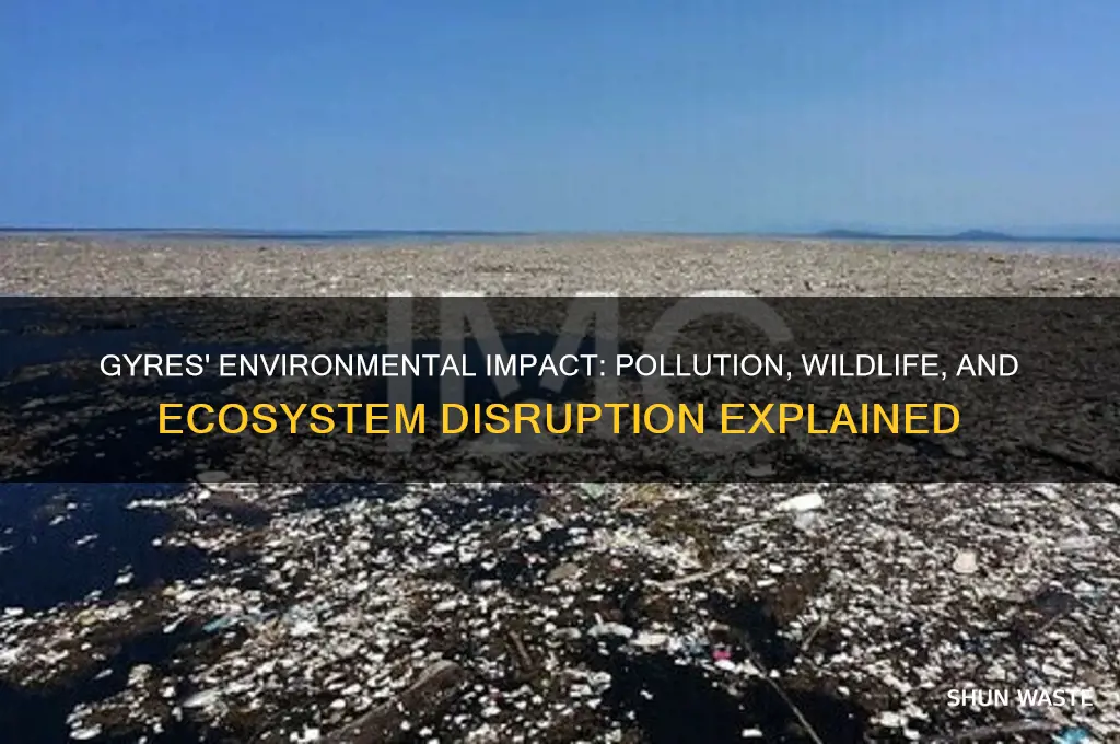 Gyres' Environmental Impact: Pollution, Wildlife, And Ecosystem ...