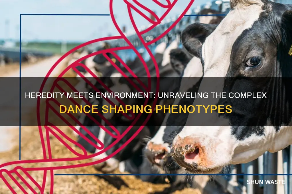 Heredity Meets Environment: Unraveling The Complex Dance Shaping ...