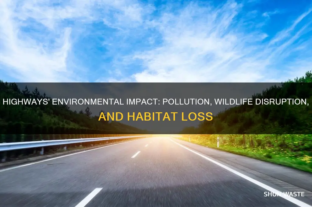 Highways' Environmental Impact: Pollution, Wildlife Disruption, And ...