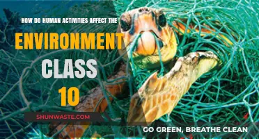 Human Impact: 6 Devastating Ways We Harm Our Environment | ShunWaste
