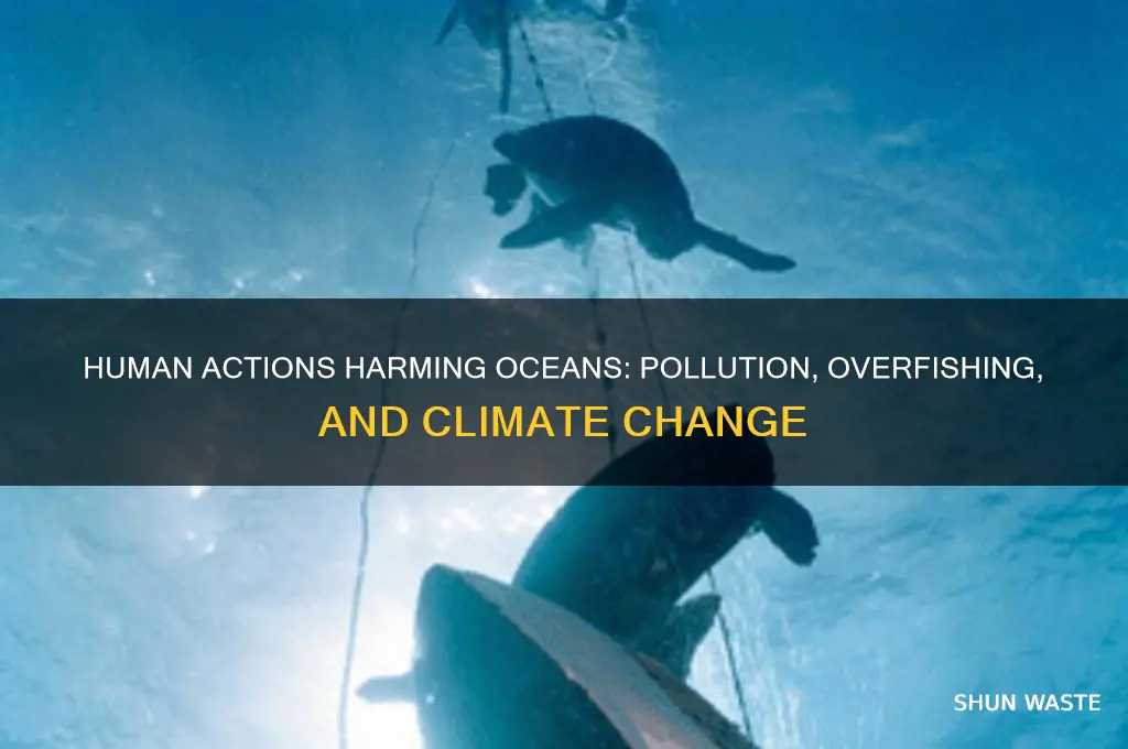 Human Actions Harming Oceans: Pollution, Overfishing, And Climate ...