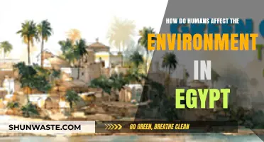 Human Economic Activities: Environmental Impacts And Sustainable ...