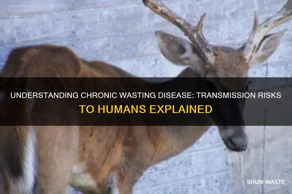 Understanding Chronic Wasting Disease: Transmission Risks To Humans ...