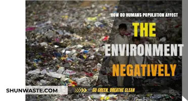 Human Impact On Japan's Environment: Causes, Effects, And Solutions ...