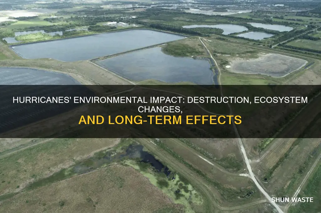 Hurricanes' Environmental Impact: Destruction, Ecosystem Changes, And ...