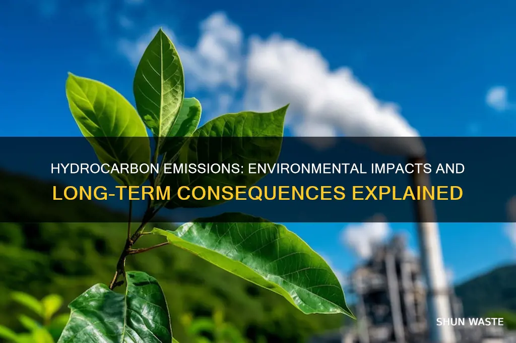 Hydrocarbon Emissions: Environmental Impacts And Long-Term Consequences ...