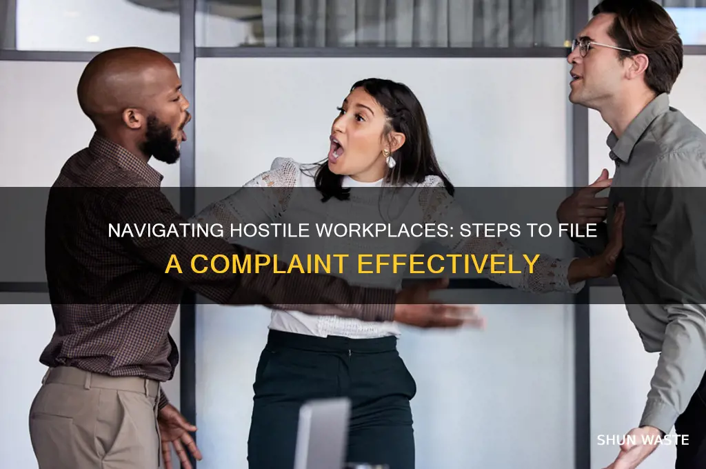 Navigating Hostile Workplaces: Steps To File A Complaint Effectively ...