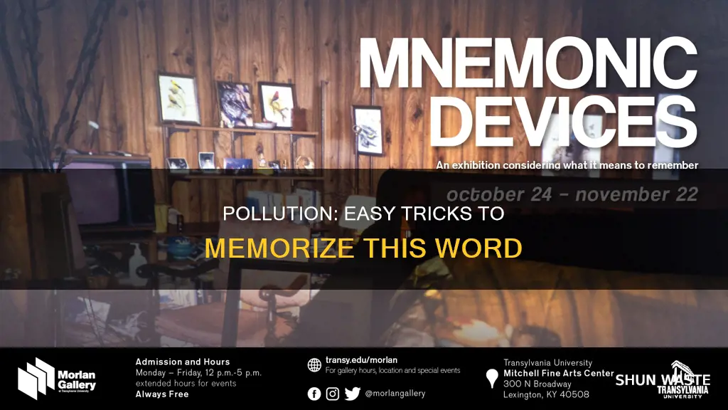 Pollution: Easy Tricks To Memorize This Word | ShunWaste