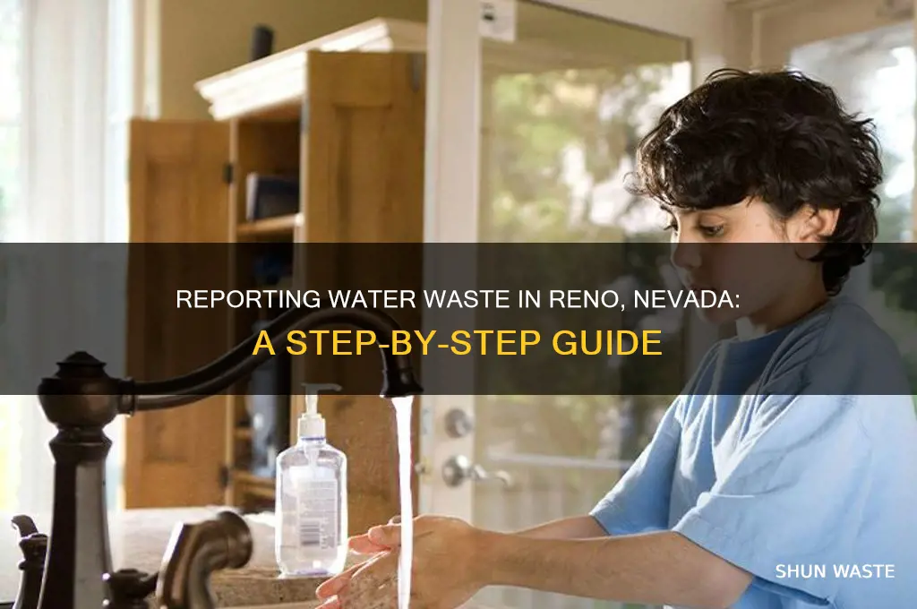 Reporting Water Waste In Reno, Nevada: A Step-By-Step Guide | ShunWaste