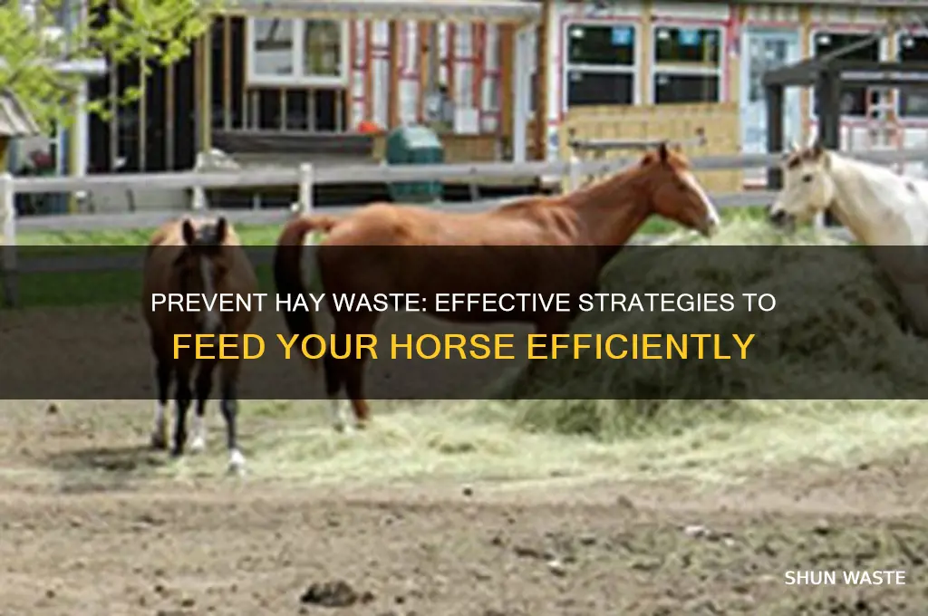 Prevent Hay Waste: Effective Strategies To Feed Your Horse Efficiently ...