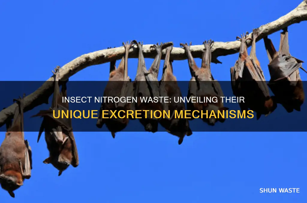 Insect Nitrogen Waste: Unveiling Their Unique Excretion Mechanisms ...