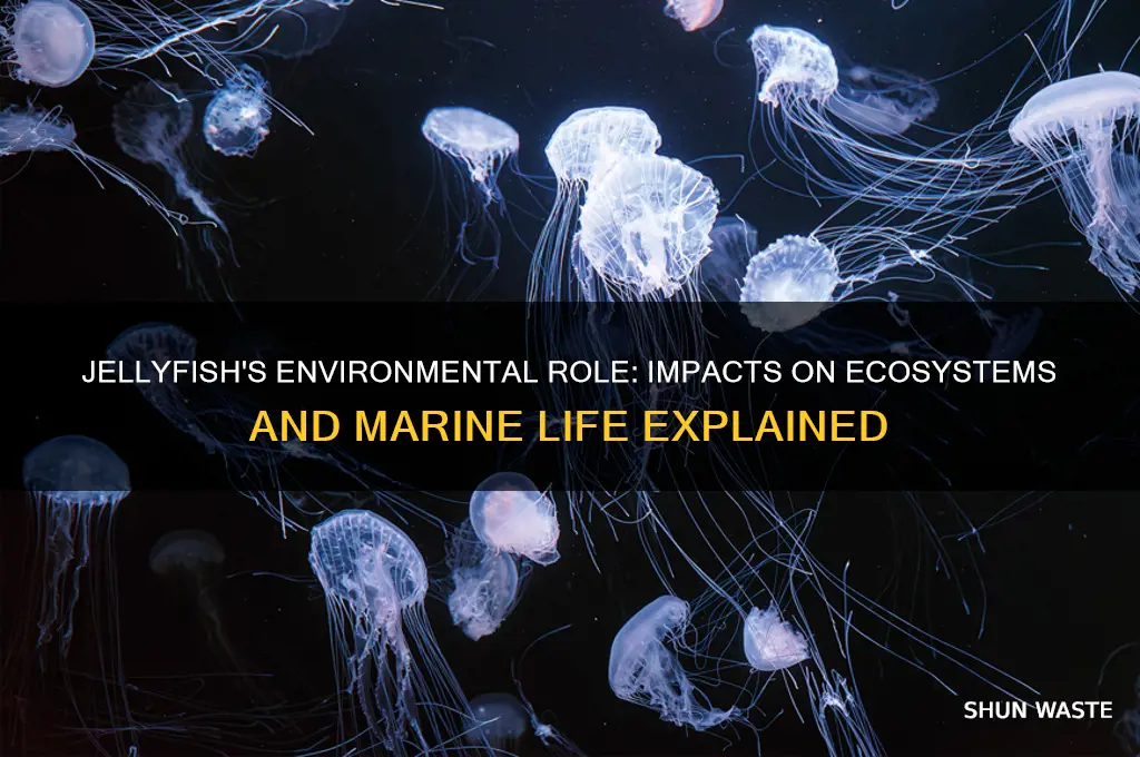 Jellyfish's Environmental Role: Impacts On Ecosystems And Marine Life ...
