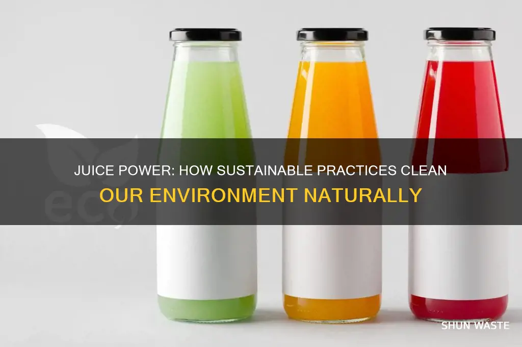 Juice Power: How Sustainable Practices Clean Our Environment Naturally ...