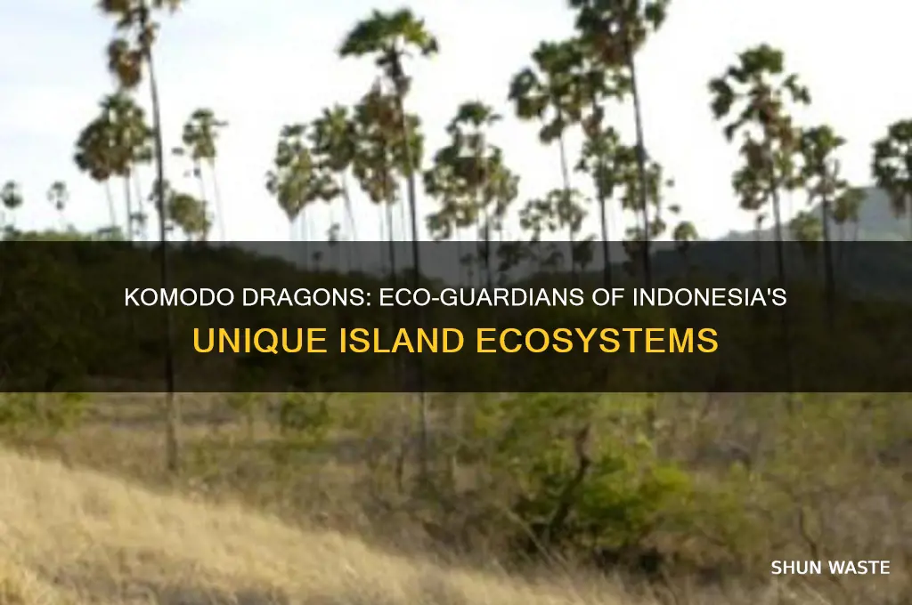 Komodo Dragons: Eco-Guardians Of Indonesia's Unique Island Ecosystems ...