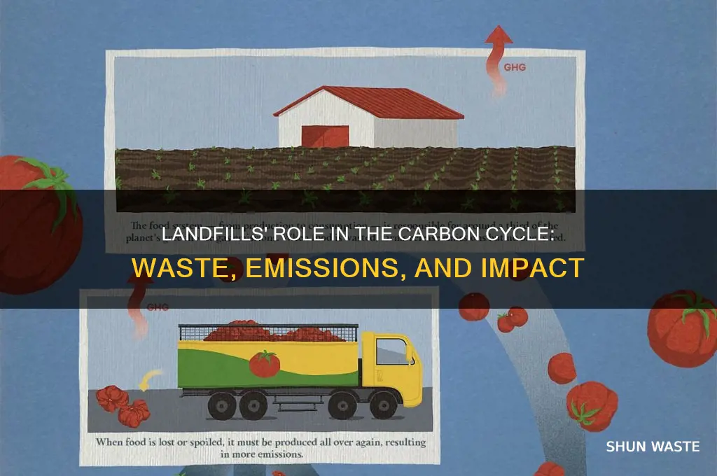 Landfills' Role In The Carbon Cycle: Waste, Emissions, And Impact ...