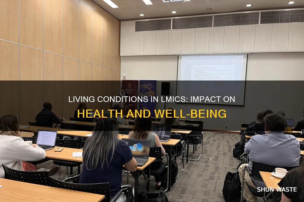 Living Conditions In Lmics: Impact On Health And Well-Being | ShunWaste