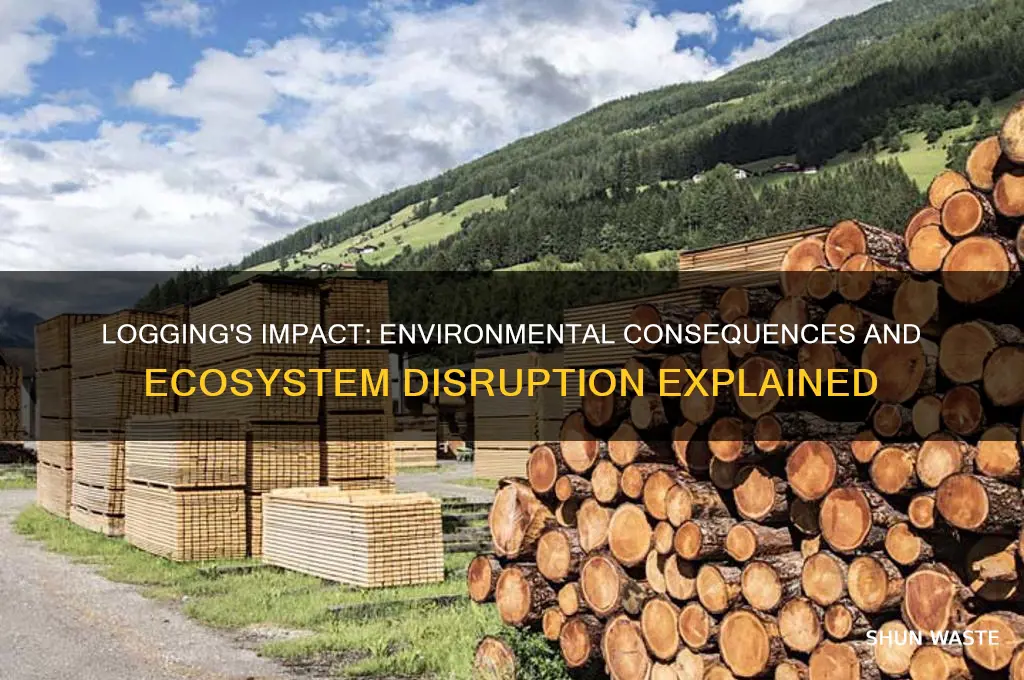 Logging's Impact: Environmental Consequences And Ecosystem Disruption ...
