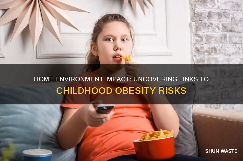 Home Environment Impact: Uncovering Links To Childhood Obesity Risks ...