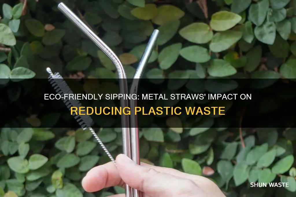 Eco-Friendly Sipping: Metal Straws' Impact On Reducing Plastic Waste ...